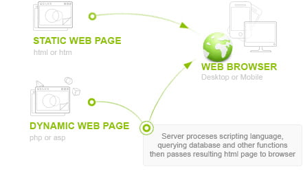 What Is The Difference Between A Static Website VS Dynamic Website ...