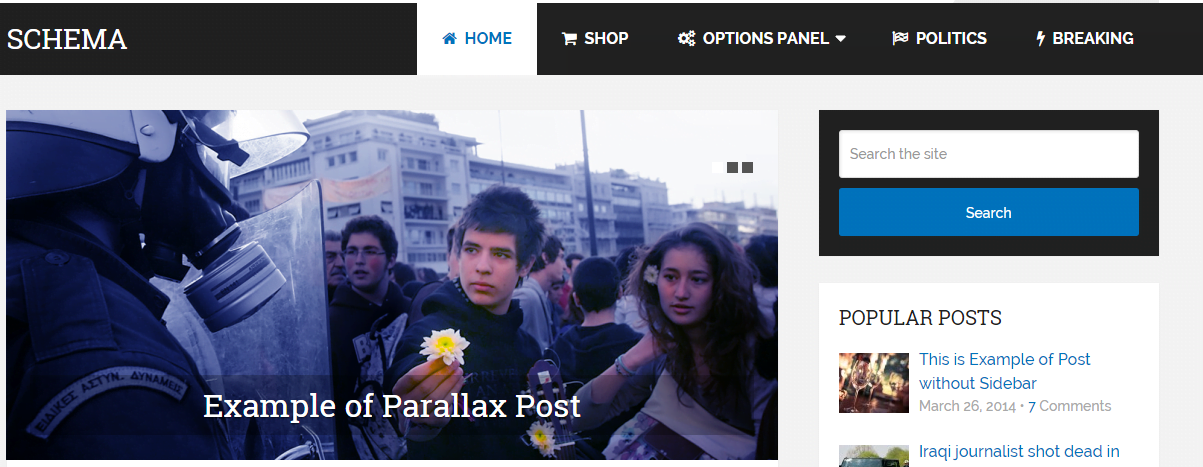 Schema fastest loading wordpress themes review with features details ...