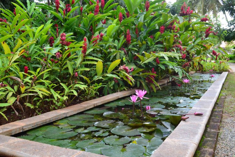 Mindfulness Meditation Yoga Retreat Center Landscape Design - Kadva Corp