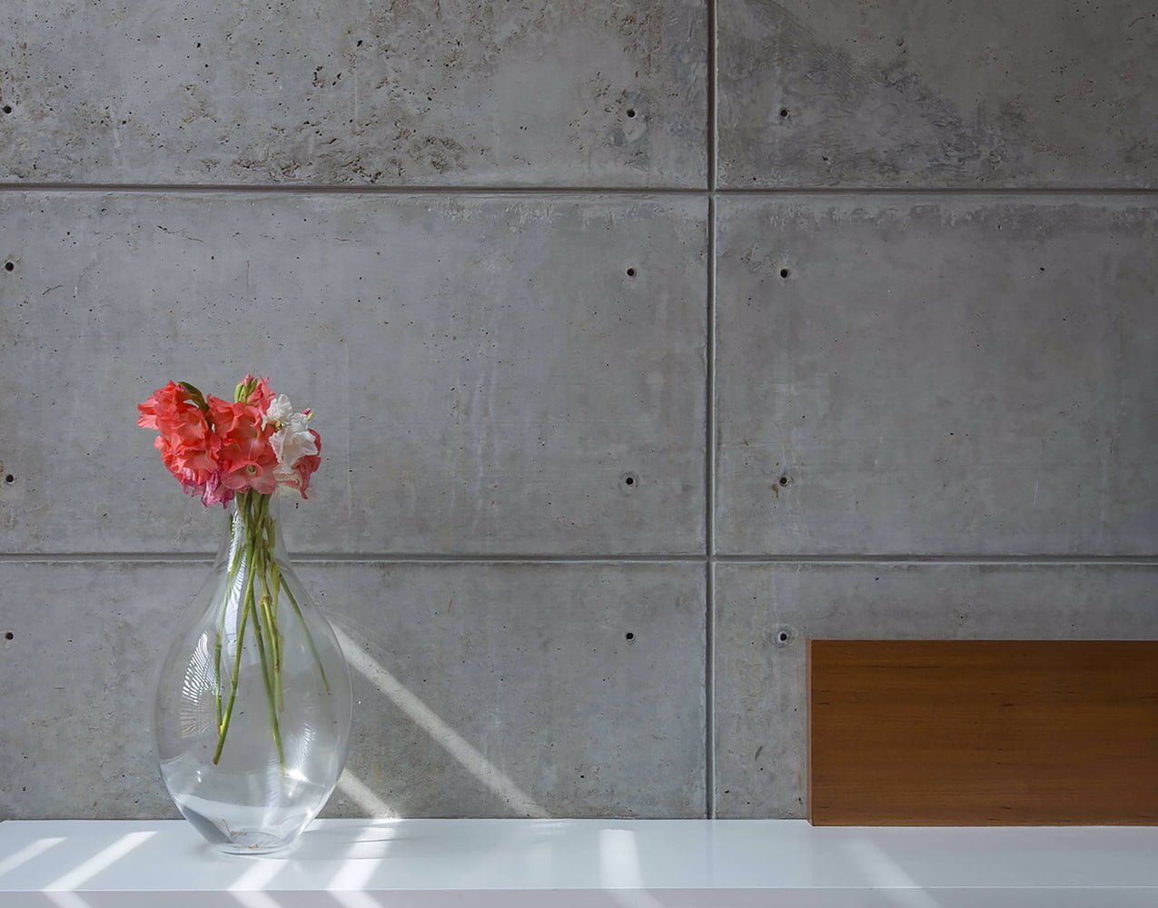 Badri Residence A Modern Indian House Architecture Paradigm - Kadva Corp