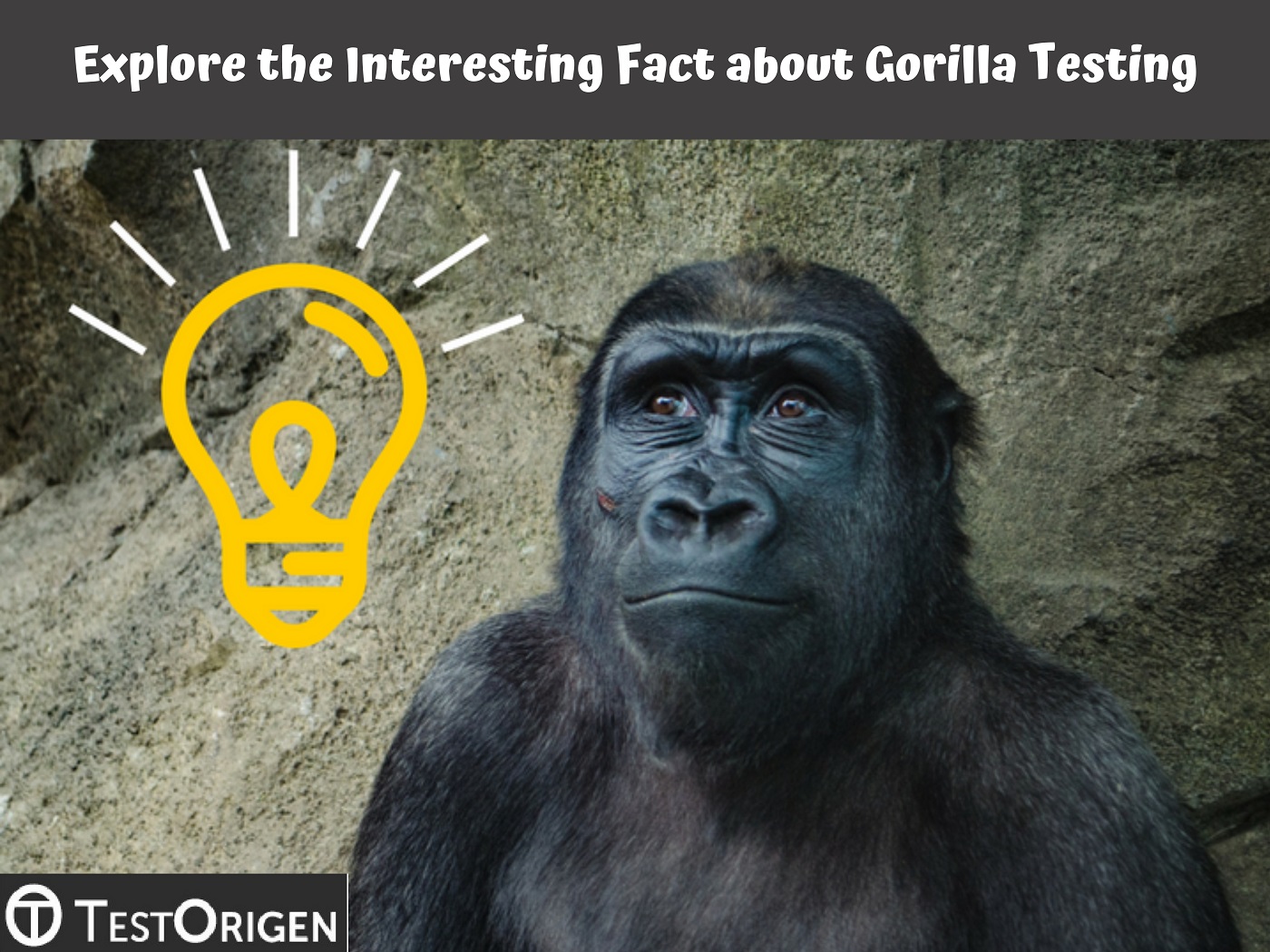 5 Major Perks To Go For Gorilla Testing Kadva Corp